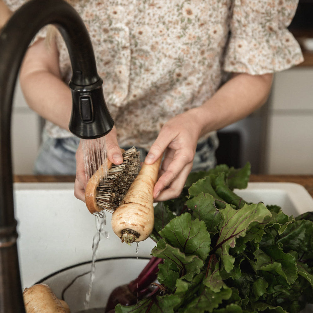 Union Fiber Vegetable Brush – Helen Milan