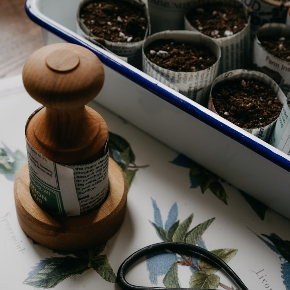 Paper Seedling Pot Press – Helen Milan
